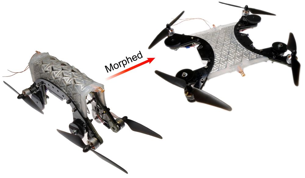 Shape-shifting Robots Adapt With Cleverly Designed Bodies, Grippers - IEEE Spectrum